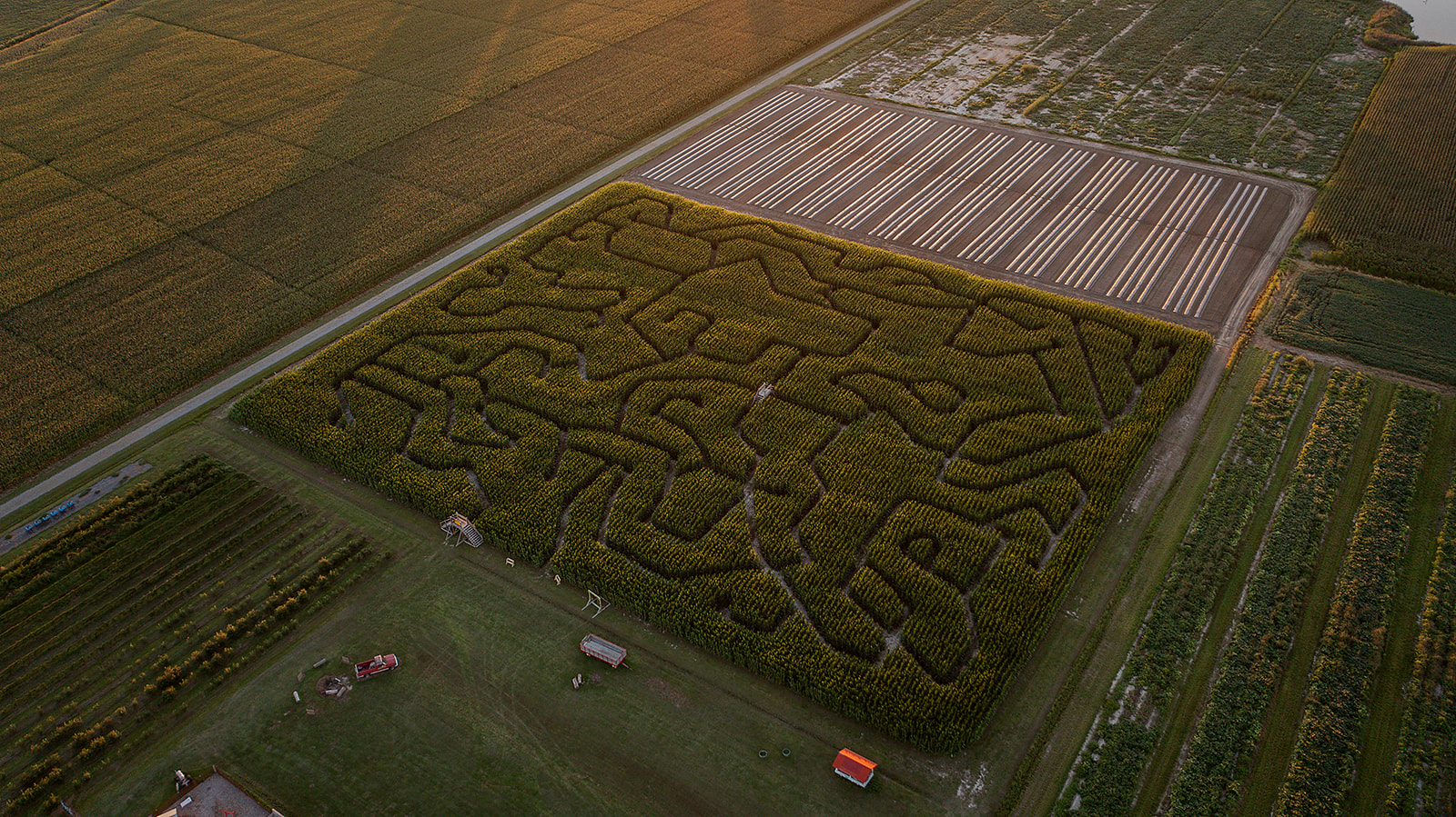 Corn Fields Aerial View